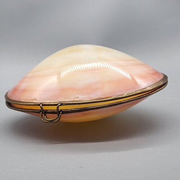 Bags | Vintage Clam Shell Purse Hinged Brass Frame Natural Shell Unique ...